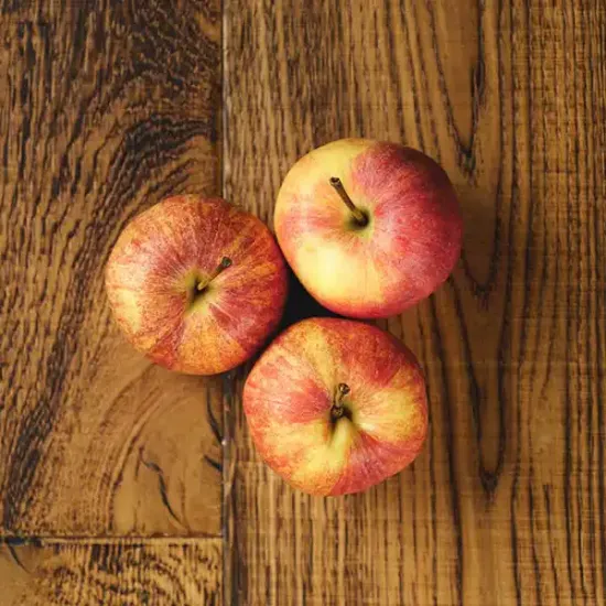 Gala Apples | Pilgrim Foodservice Ltd