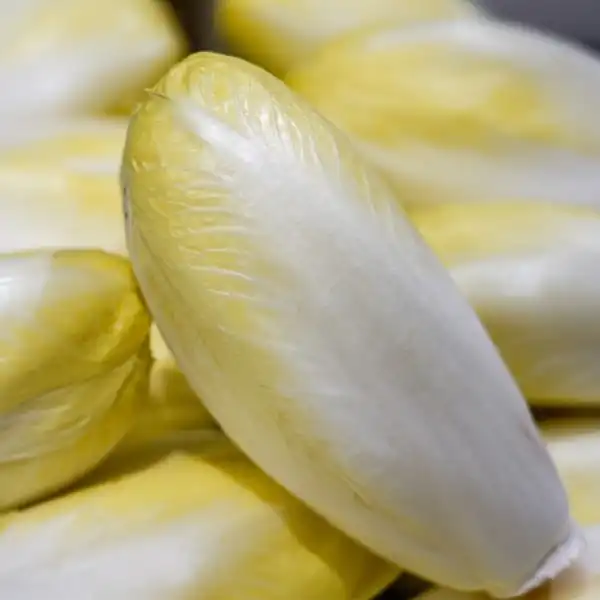 Fresh Produce Wholesale | Best Monthly Prices on Fruit & Veg | Pilgrim ...